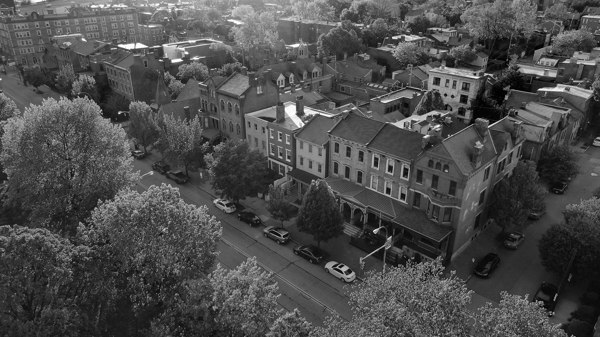 Community Dynamo Freight