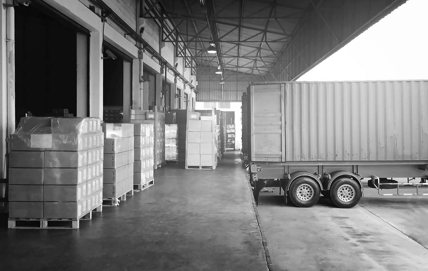 Shippers - Dynamo Freight